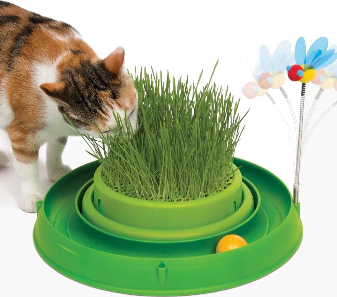 Игрушка для котов Hagen Catit 3in1 круглый лабиринт с шариком и ...